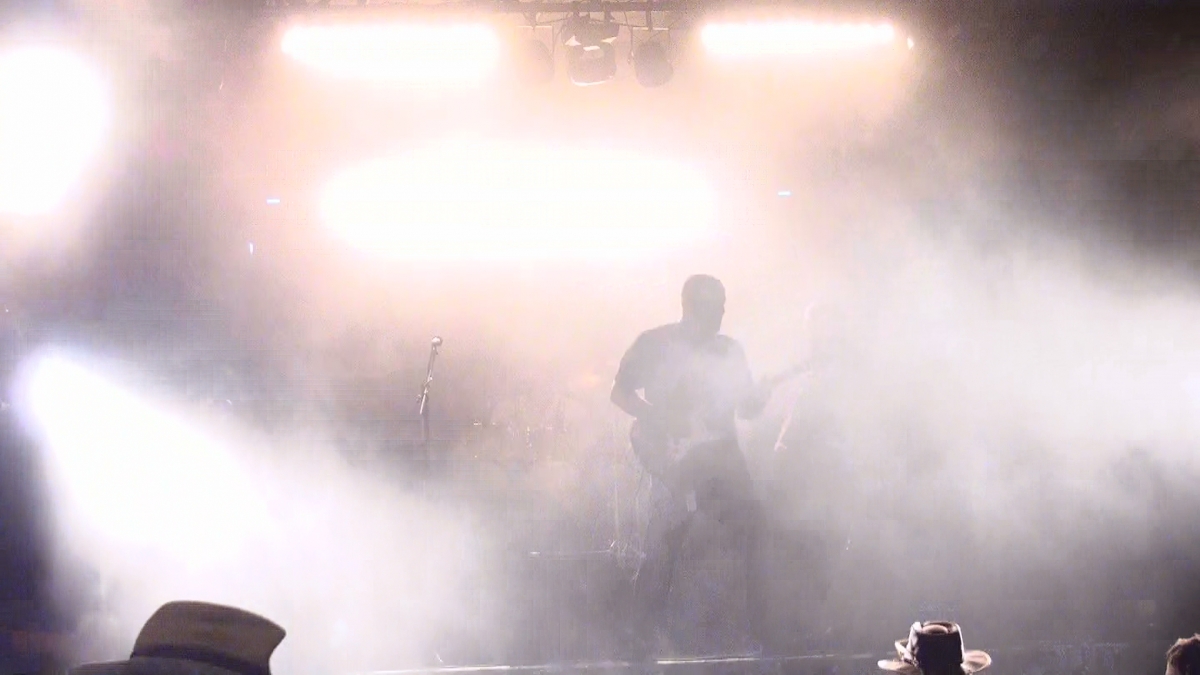 Photos - Collective Cover Collective Cover